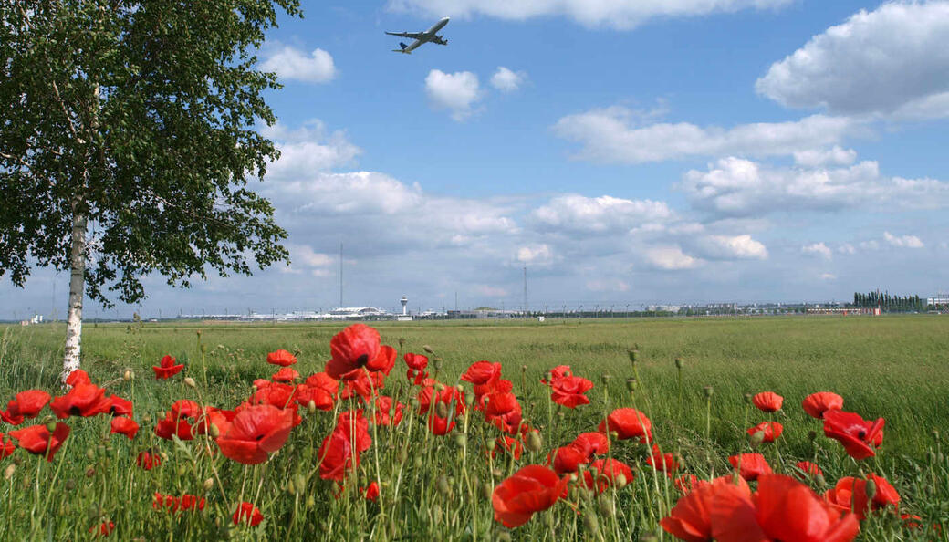 Advanced airports - Munich Airport International